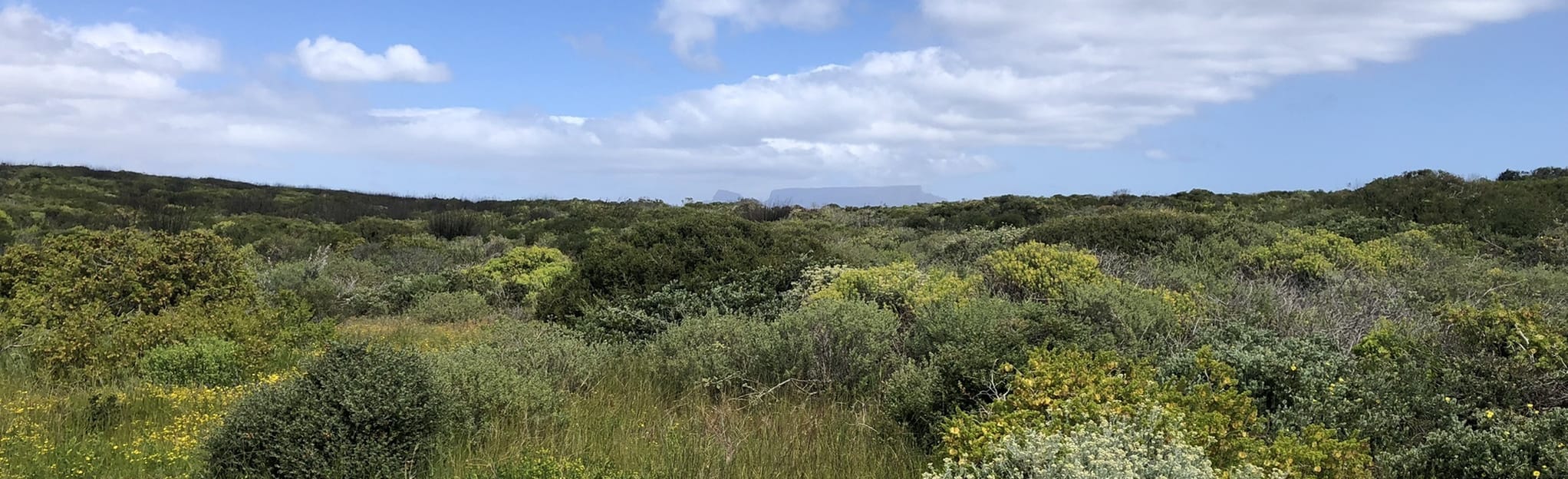 Blaauwberg Nature Reserve, Western Cape, South Africa - 17 Reviews, Map ...