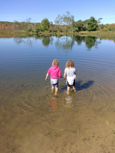 Best Hikes and Trails in Finzel Swamp Preserve | AllTrails