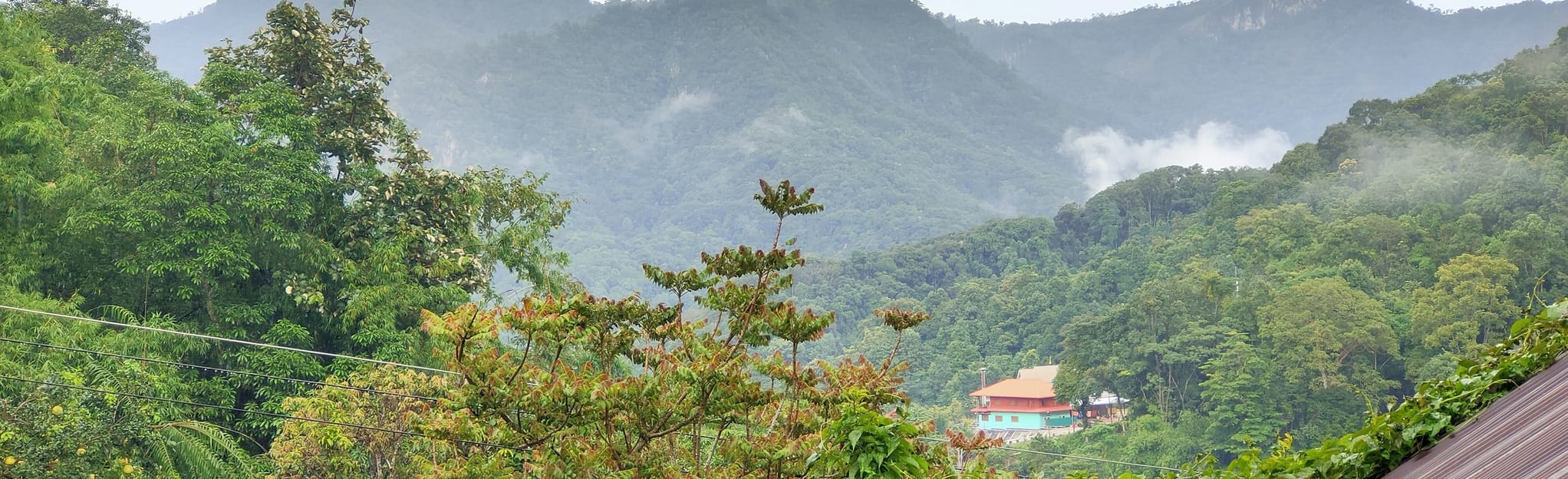 Ban Kam Phang Hin Loop l, Chiang Mai, Thailand - Map, Guide | AllTrails