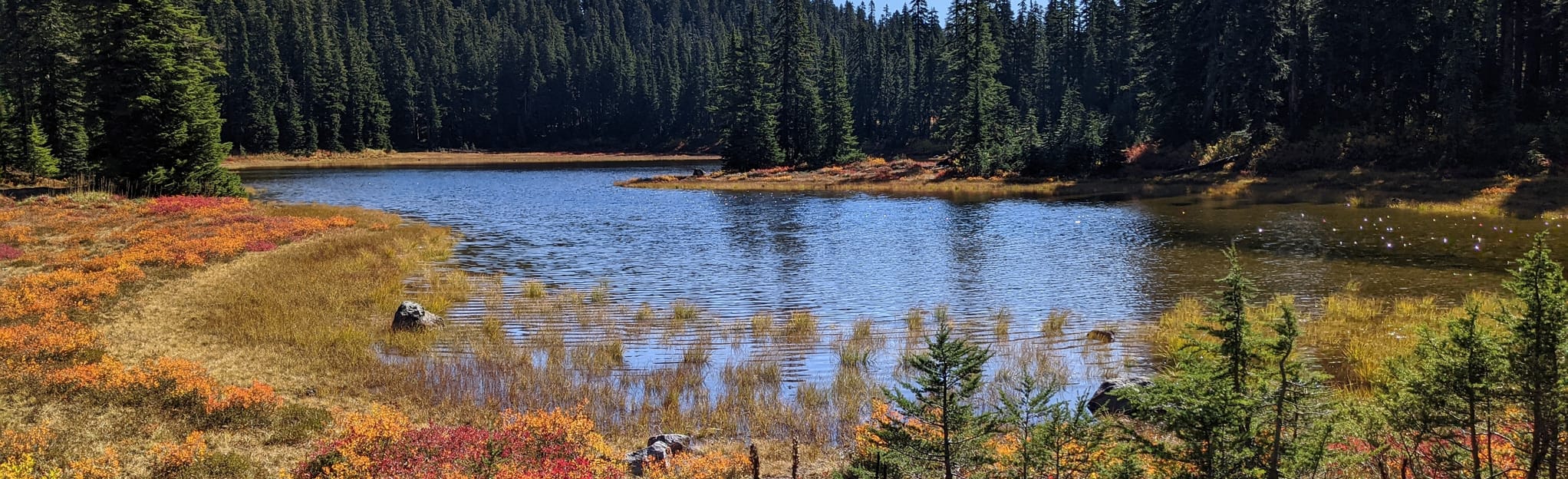 Elk Lake via Thomas Lake Trail, Washington - 64 Reviews, Map | AllTrails