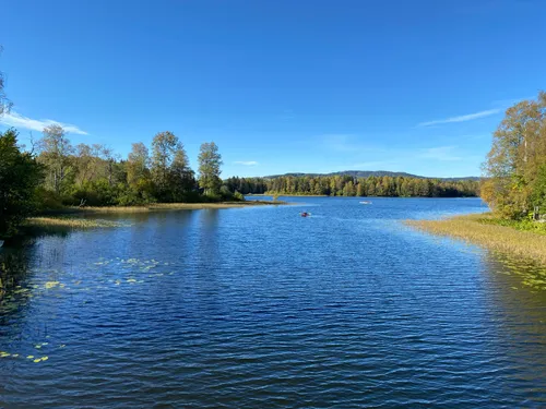 Best Wild Flowers Trails in Blåfjell naturreservat | AllTrails