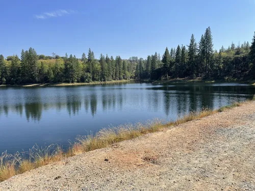 Best Hikes and Trails in Jackson | AllTrails