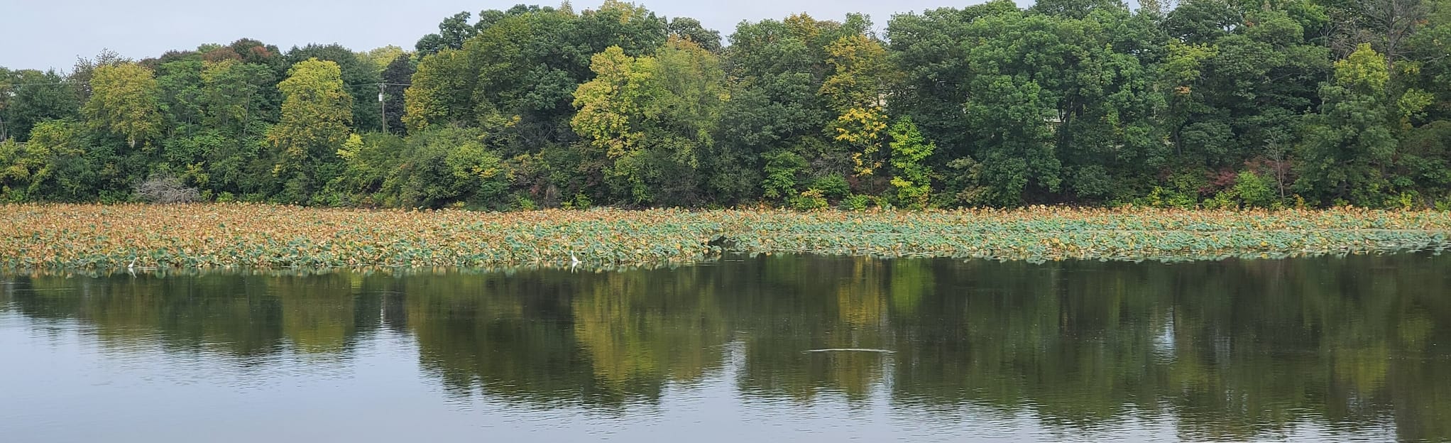 Sylvan Island, Illinois - 243 Reviews, Map | AllTrails