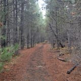 Gilbert Peak and Warm Lake Trail, Washington - 83 Reviews, Map | AllTrails