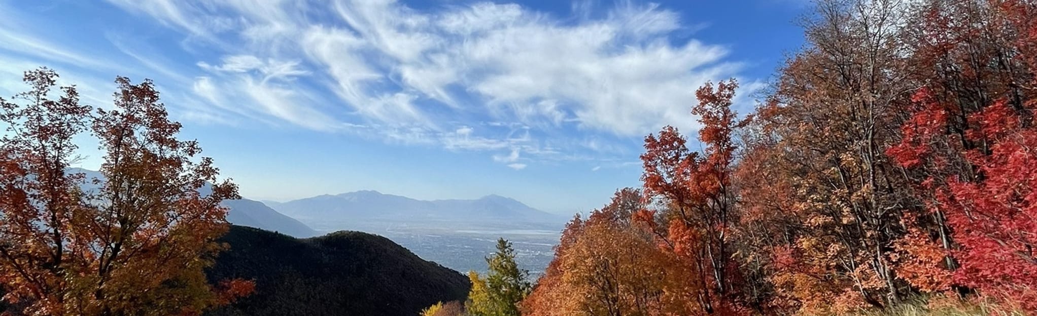 Dry Canyon Trail, Utah - 502 Reviews, Map | AllTrails