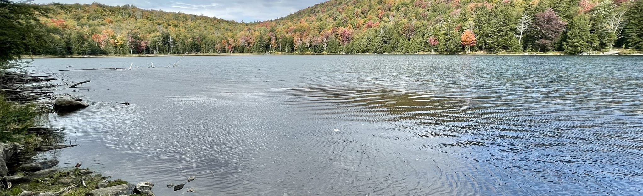 Holmes Lake, New York - 111 Reviews, Map | AllTrails