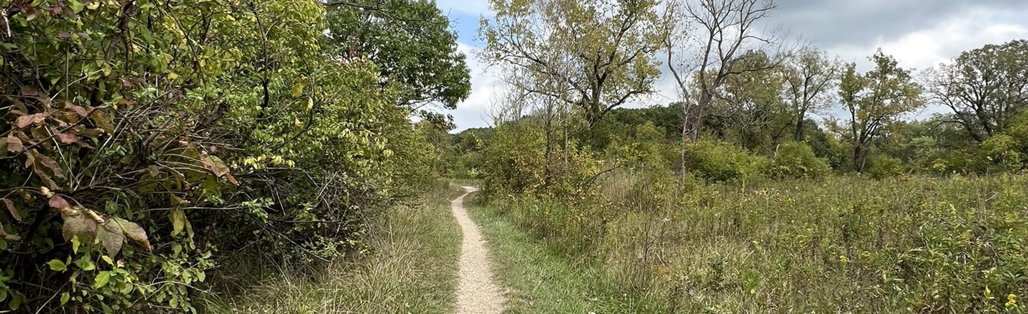 Red Gate Woods Loop, Illinois - 378 Reviews, Map | AllTrails