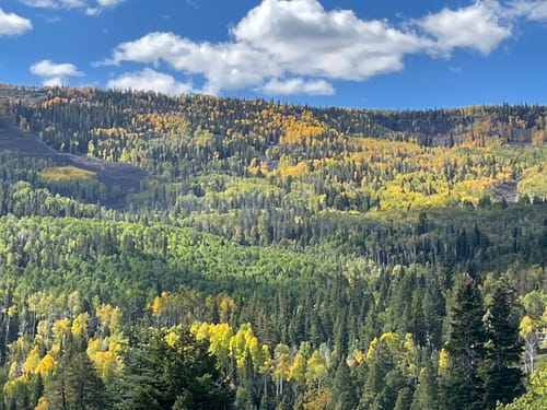 2023 Best 10 Backpacking Trails in Dixie National Forest | AllTrails