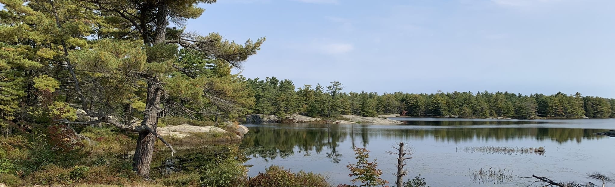 AllTrails | Huron Trail to Turtle Bay: 18 Reviews, Map - Ontario, Canada