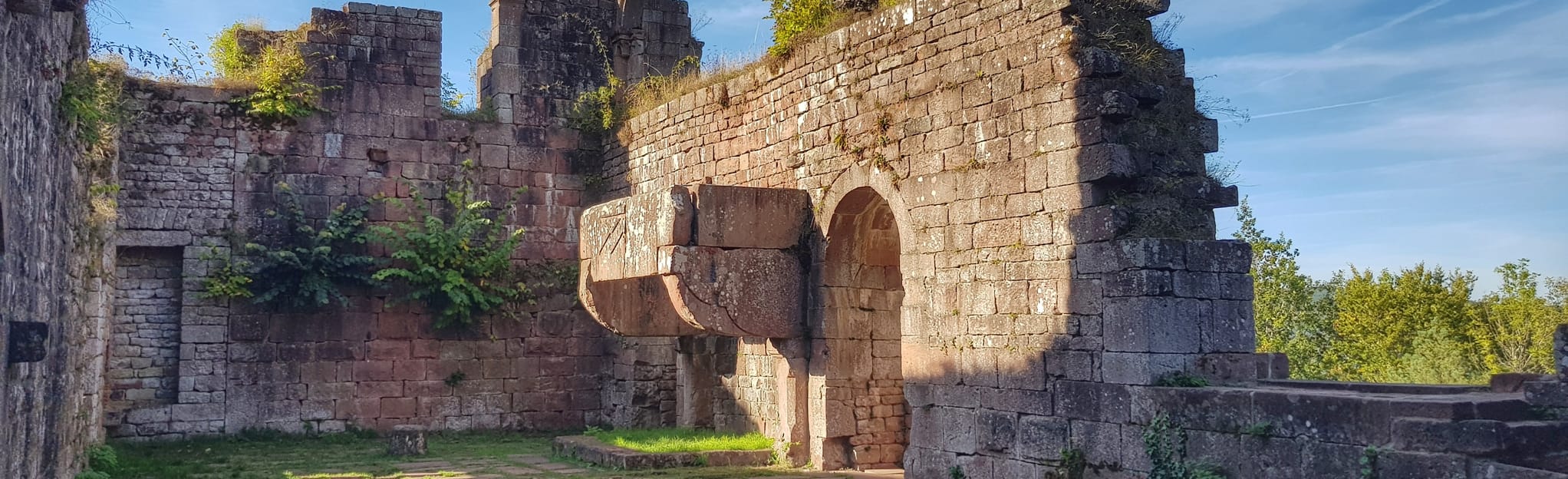 Von Amorbach nach Beuchen: 2 Reviews, Map - Bayern, Germany | AllTrails