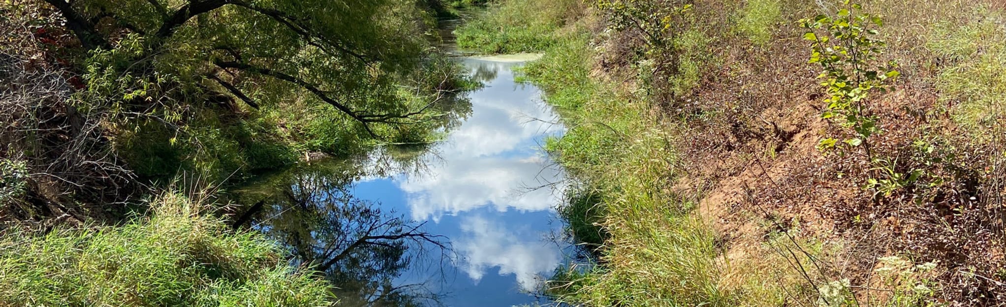 Frank Raab Nature Trail, Oklahoma - 30 Reviews, Map | AllTrails