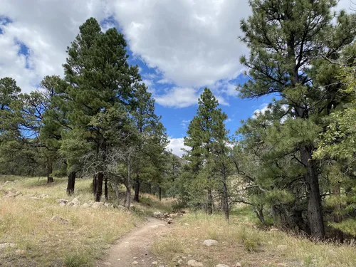 10 Best Mountain Biking Trails in Flagstaff | AllTrails