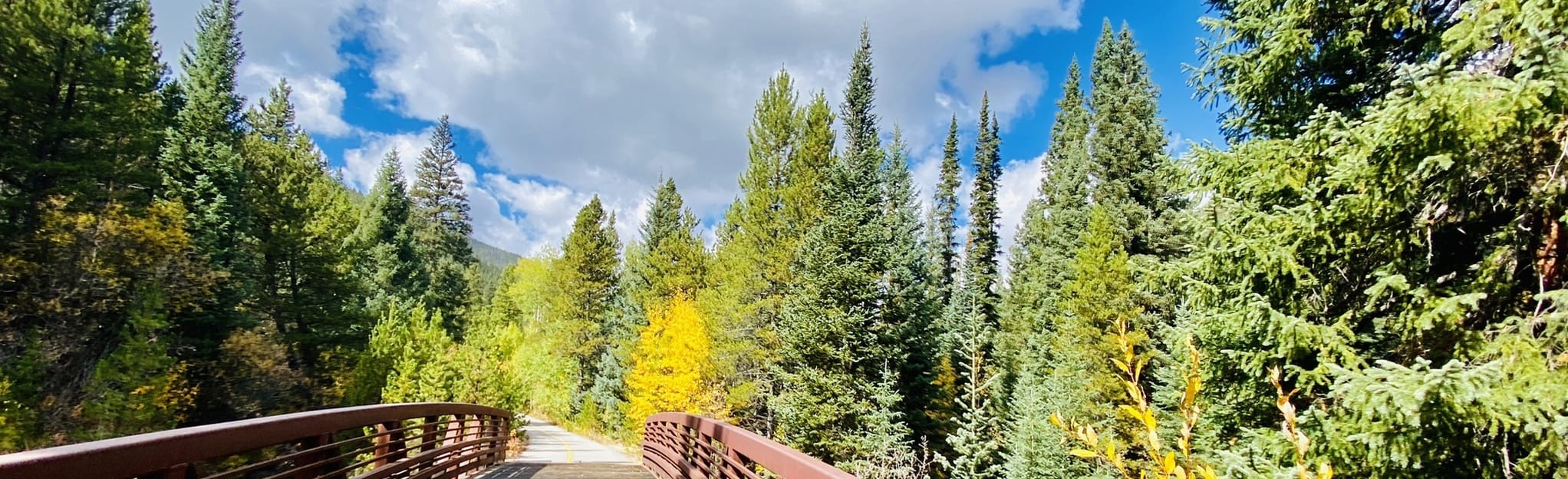 Bakerville to Loveland Trail, Colorado - 141 Reviews, Map | AllTrails