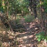 Fort Foote Civil War Ruins, Maryland - 180 Reviews, Map | AllTrails