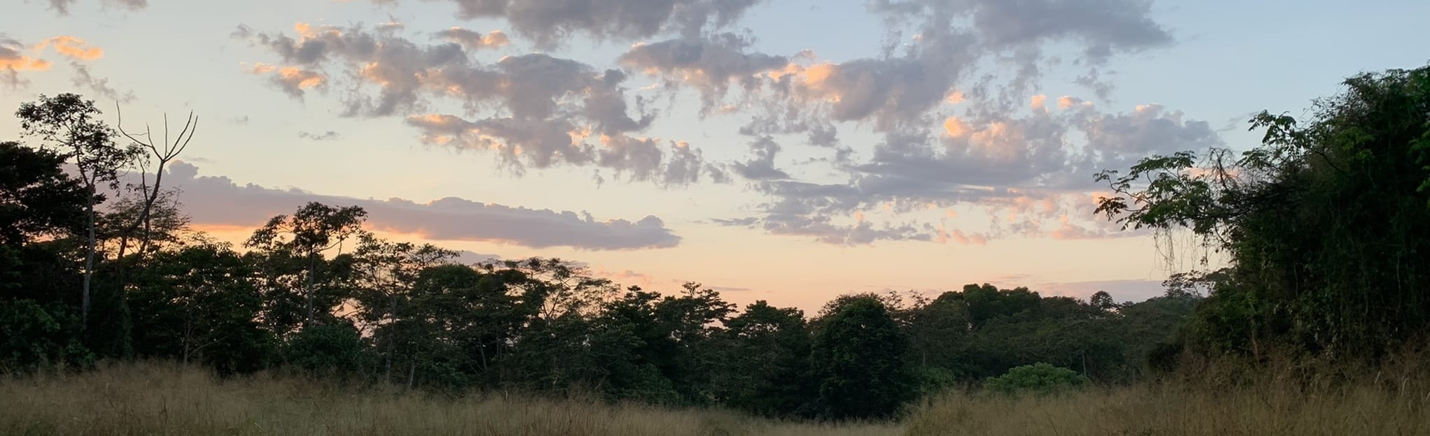 Greenfields Loop, Queensland, Australia - 46 Reviews, Map | AllTrails