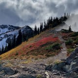 Skyline Divide Trail [CLOSED], Washington - 752 Reviews, Map | AllTrails