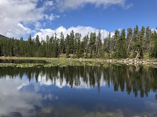 10 Best Trails and Hikes in Red Lodge | AllTrails