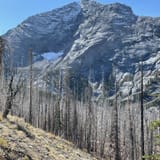 Sacajawea Peak Trail, Oregon - 79 Reviews, Map | AllTrails