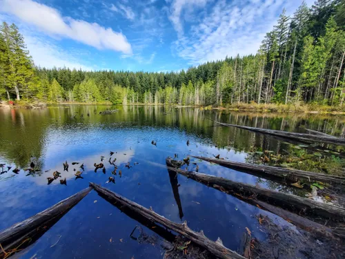 Best Hard Trails in Larrabee State Park | AllTrails