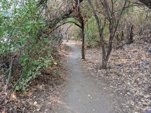Best Hikes and Trails in Sutter's Landing Regional Park | AllTrails