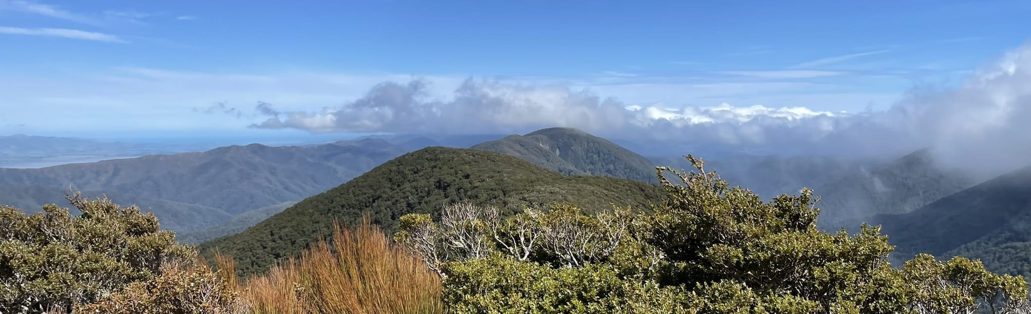 Alpha Hut from Kaitoke Carpark, Wellington, New Zealand - 4 Reviews ...