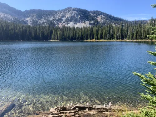 Best Forest Trails in North Fork John Day Wilderness | AllTrails