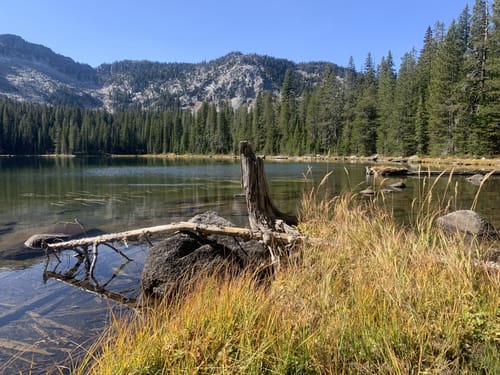 Best Hikes and Trails in North Fork John Day Wilderness | AllTrails