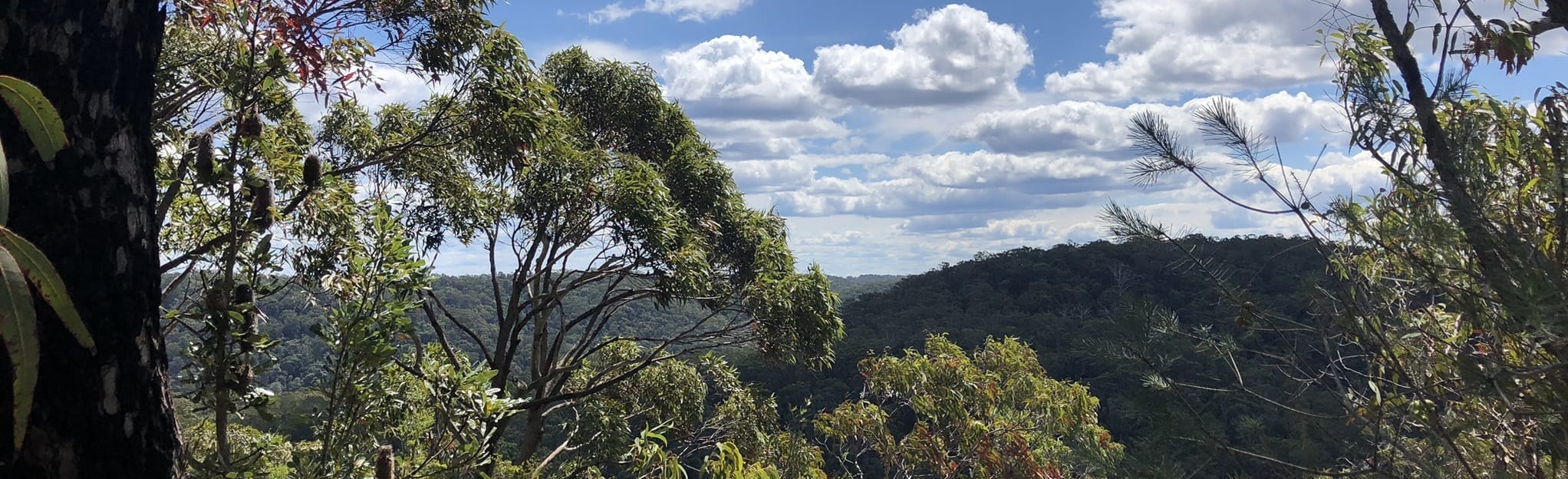 Peebles Road Track: 23 Reviews, Map - New South Wales, Australia ...