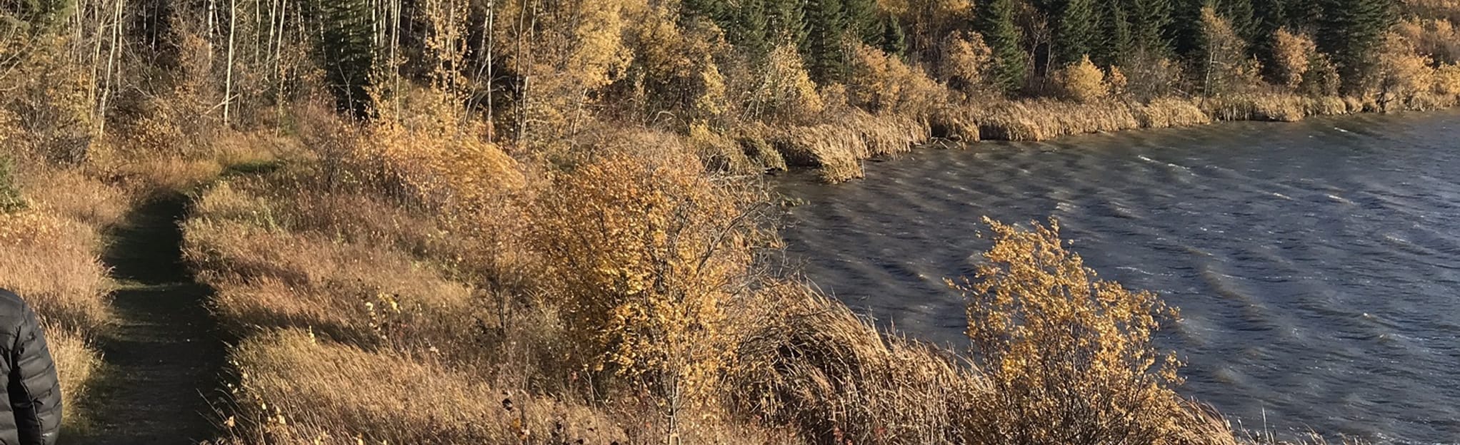 Figure Eight Lake Loop, Alberta, Canada - 5 Reviews, Map | AllTrails