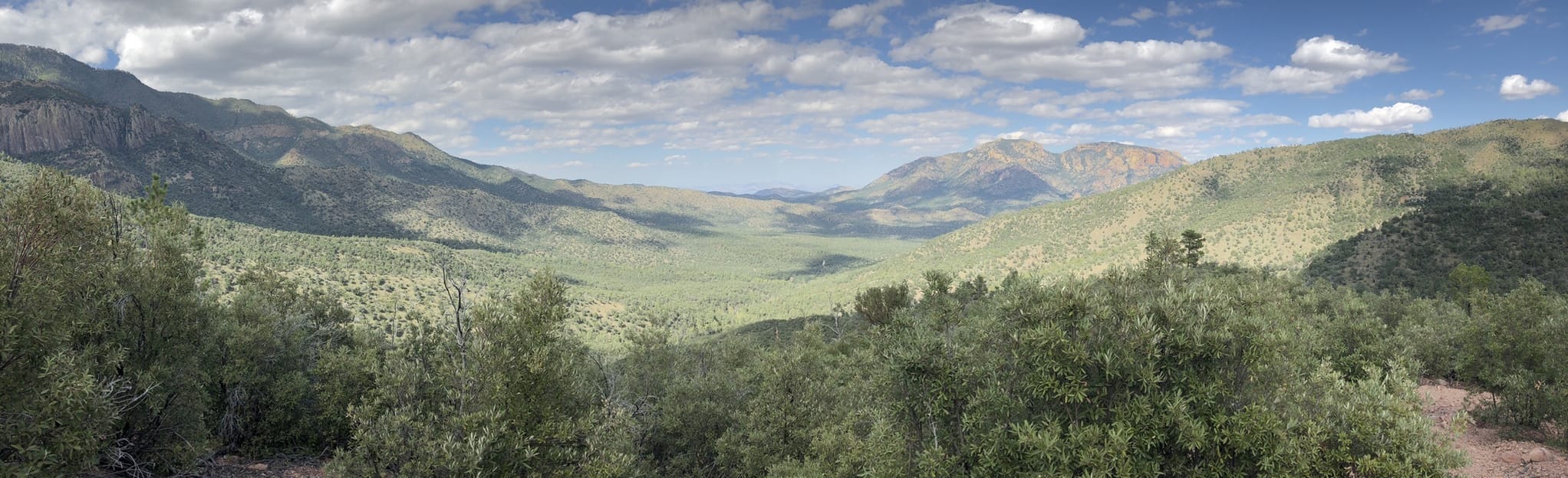 Herb Martyr Trail: 42 Reviews, Map - Arizona | AllTrails