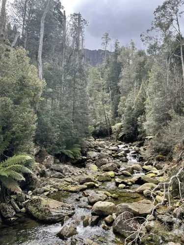 10 Best Hikes and Trails in Meander Conservation Area | AllTrails