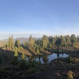 Flower Ridge, British Columbia, Canada - 169 Reviews, Map | AllTrails