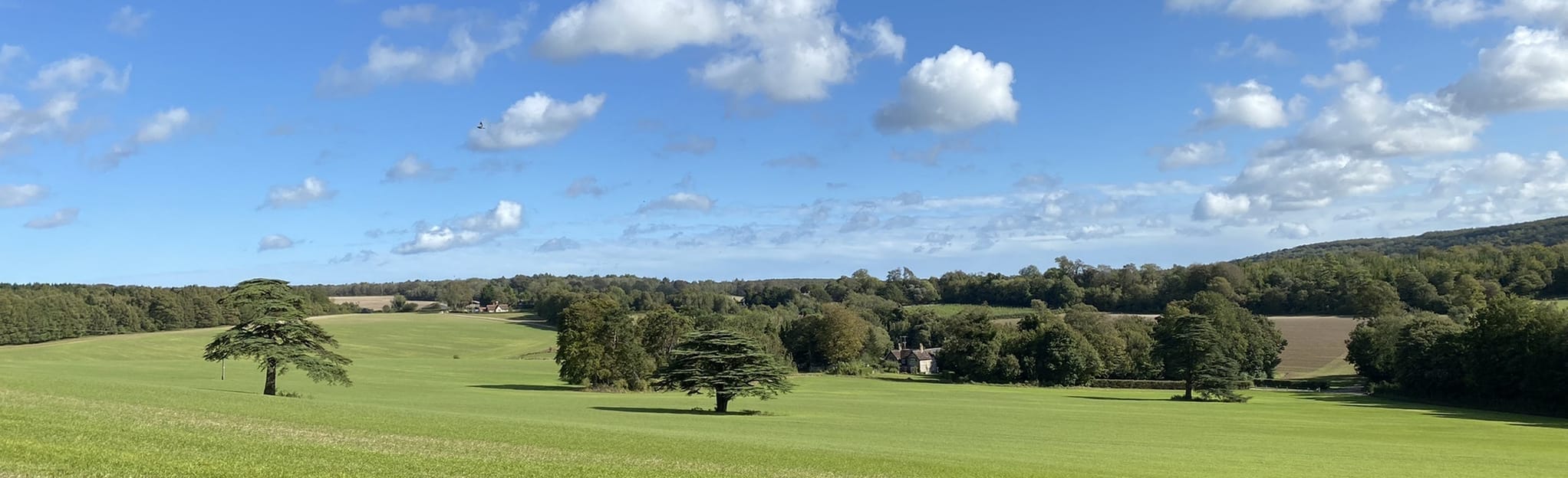 Slindon and North Wood Circular - West Sussex, England | AllTrails