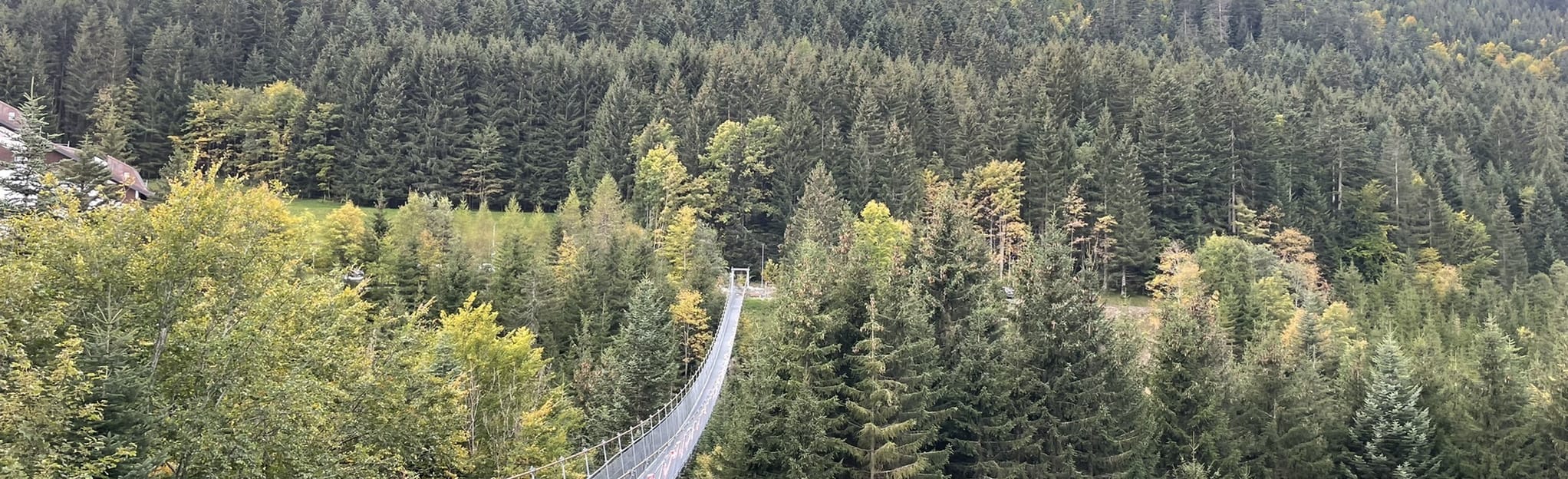 Sentier des Rails - Vionnaz - Pont de Torgon: 2 Reviews, Map - Valais ...