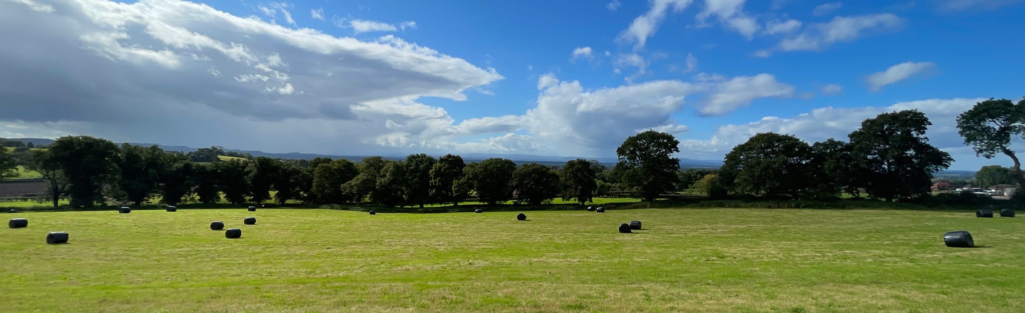 Sandstone Trail and Utkinton Circular, Cheshire, England - 89 Reviews ...