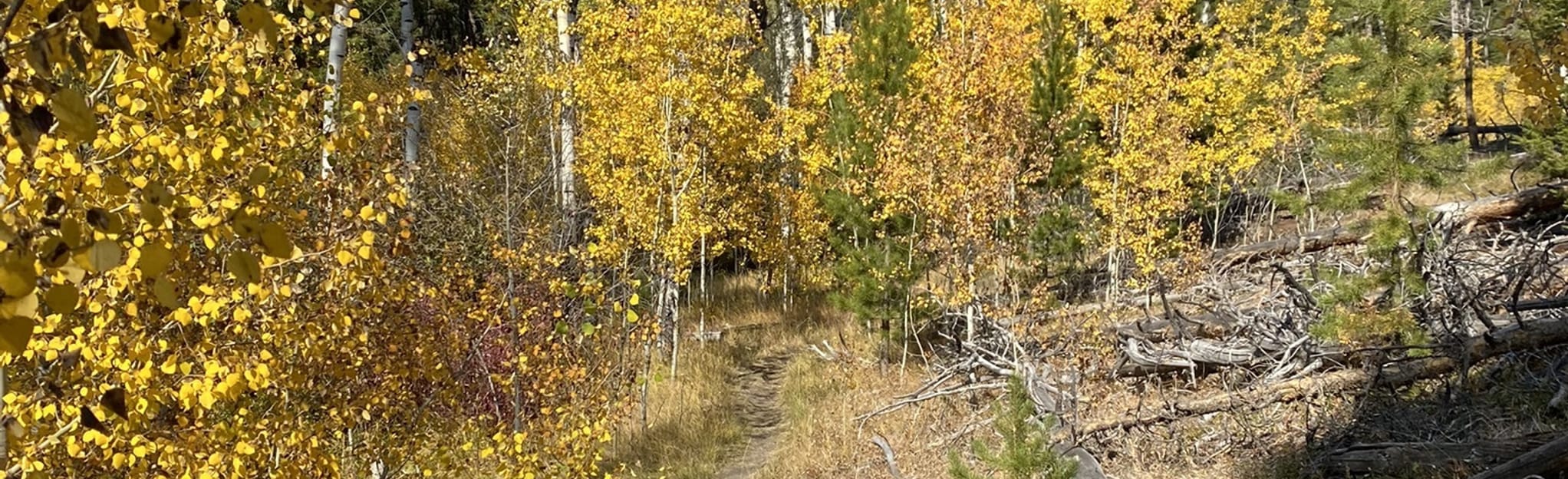 Humbug Spires Wilderness Trail: 63 Reviews, Map - Montana | AllTrails