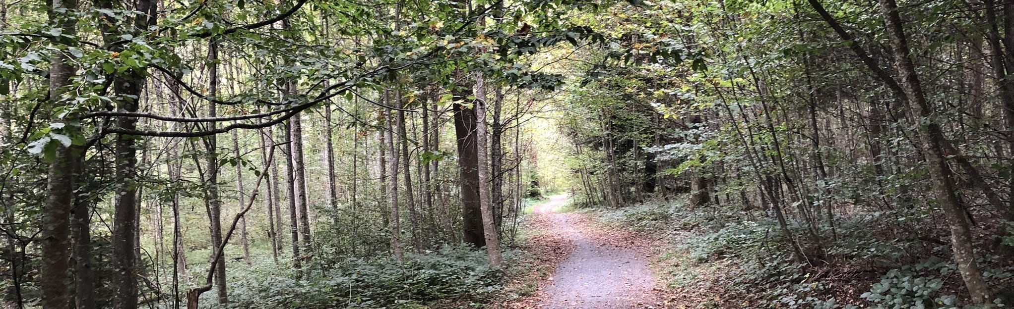 Berikon - Stierliberg, Aargau, Switzerland - Map, Guide | AllTrails