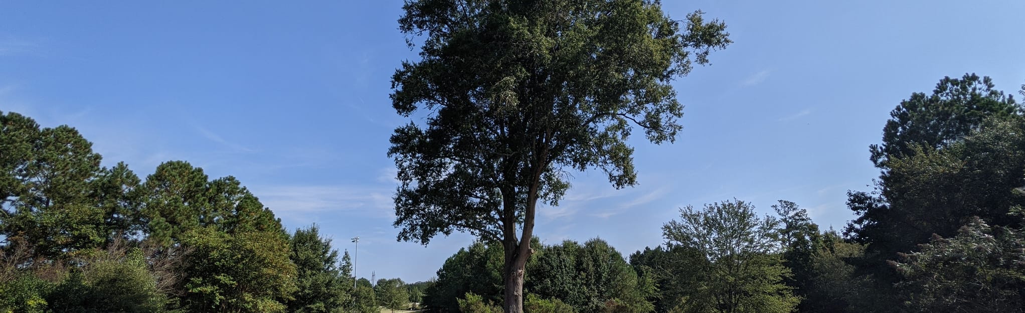 Knightdale Station Park Loop: 111 Reviews, Map - North Carolina | AllTrails