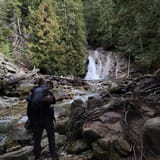 Upper Priest River Trail, Idaho - 86 Reviews, Map | AllTrails