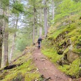Upper Priest River Trail, Idaho - 86 Reviews, Map | AllTrails
