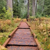 Upper Priest River Trail, Idaho - 86 Reviews, Map | AllTrails