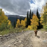 Fancy Pass Trail, Colorado - 277 Reviews, Map | AllTrails