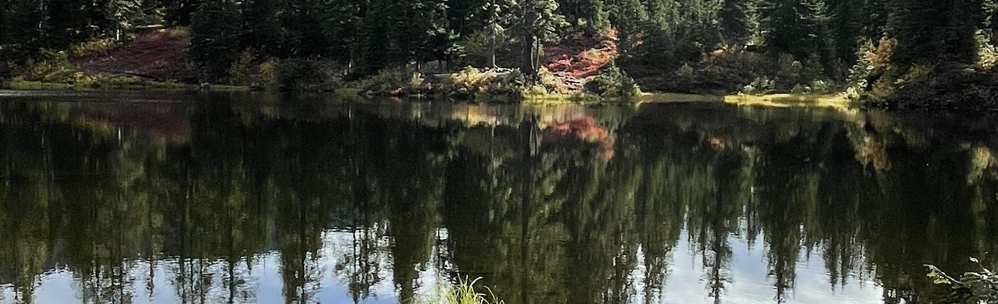 Tunnel Creek Trail to Hope Lake, Washington - 112 Reviews, Map | AllTrails