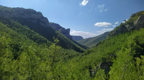 Best Partially Paved Trails in Mount Parnitha National Park | AllTrails