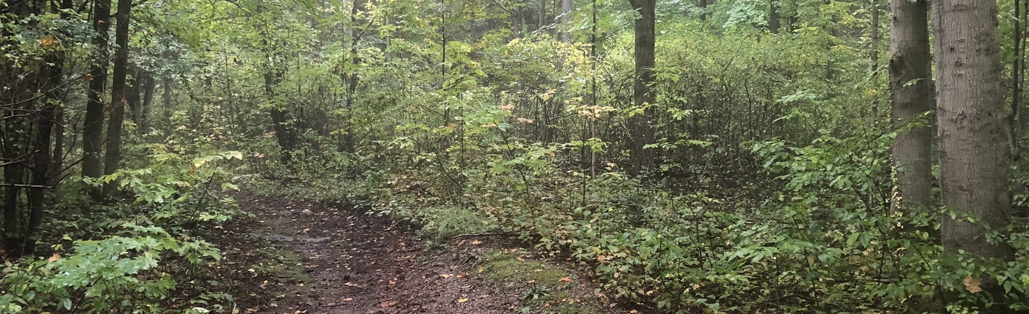 Miester Tract Trail: 23 foto's - Ontario, Canada | AllTrails