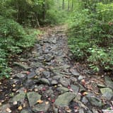 Monson Community Loop, New Hampshire - 249 Reviews, Map | AllTrails