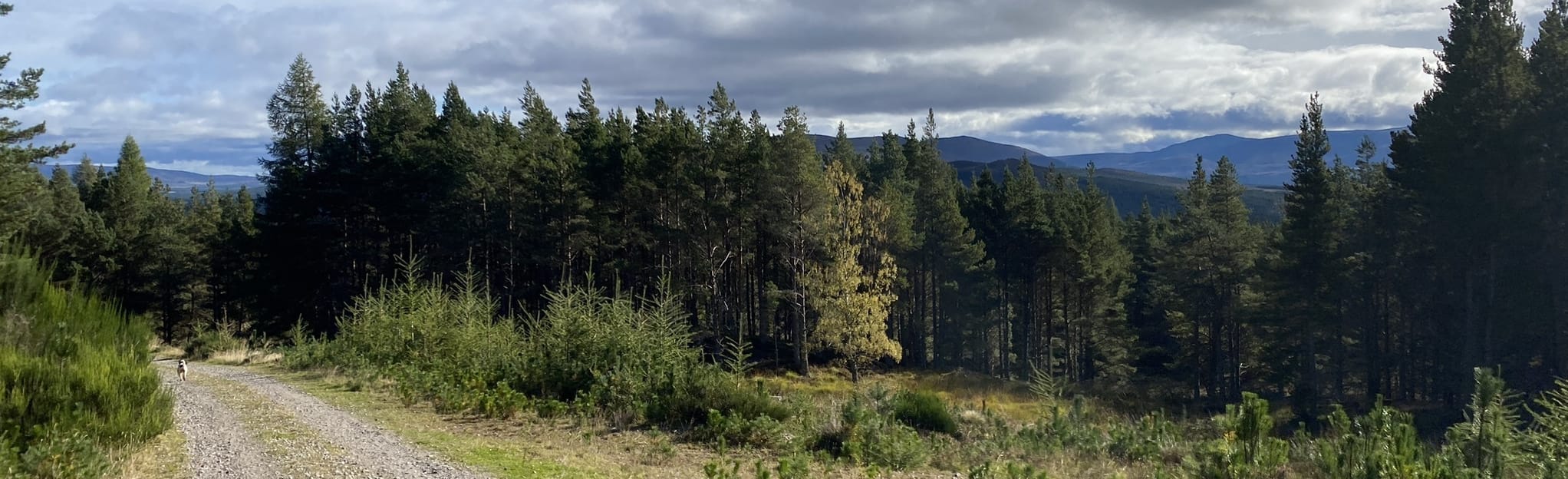 Aviemore and Milton Burn Circular, Highlands, Scotland - 6 Reviews, Map ...