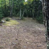 Redman Run Trail, West Virginia - 130 Reviews, Map | AllTrails