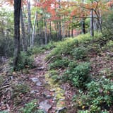 Redman Run Trail, West Virginia - 101 Reviews, Map | AllTrails