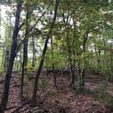 Redman Run Trail, West Virginia - 101 Reviews, Map | AllTrails